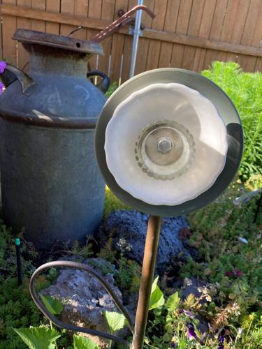 What to do when you've soiled your yard | Magazine | yakimaherald.com