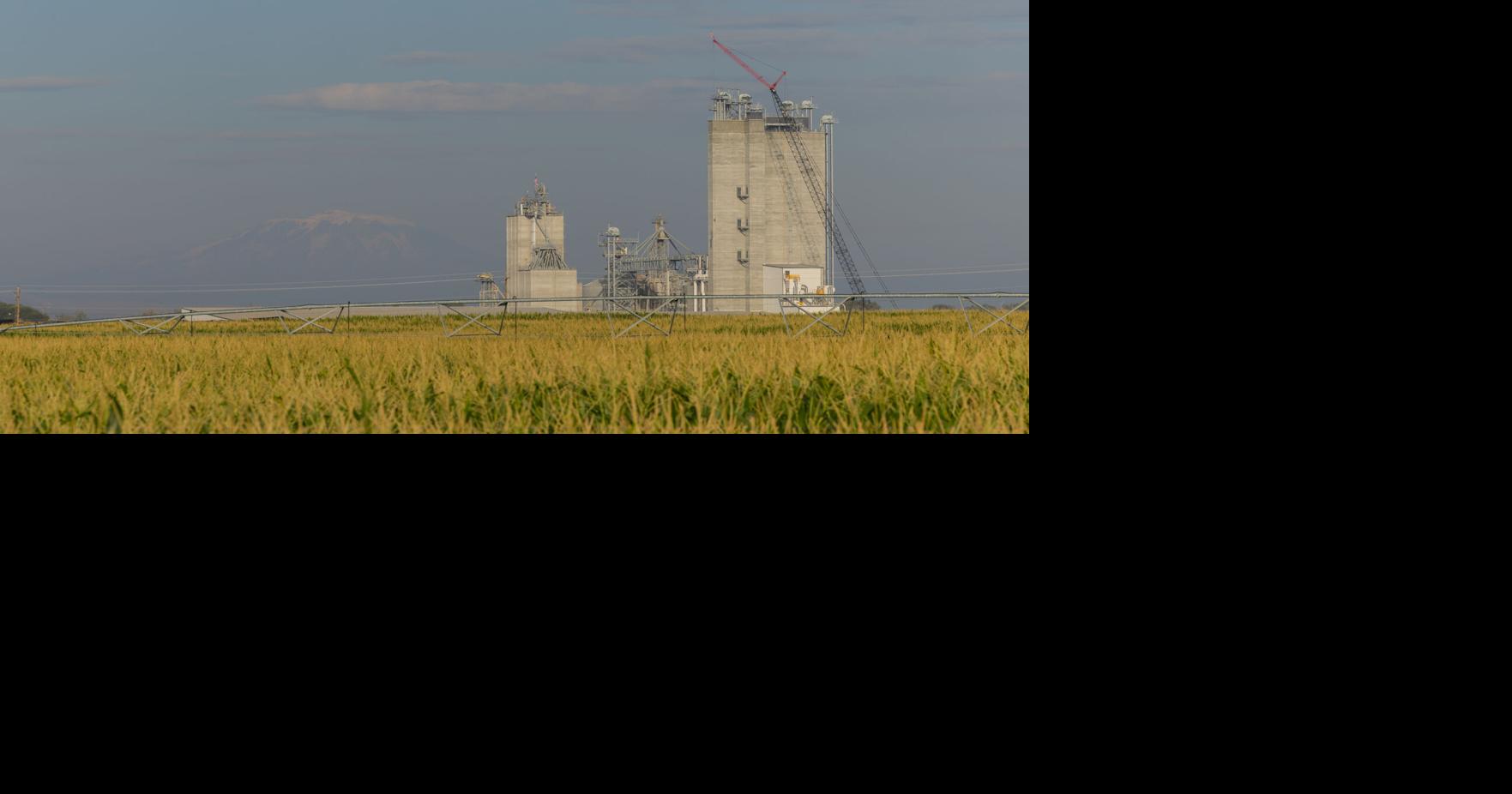 Business tidbits: Cargill opens retail feed facility in Granger ...