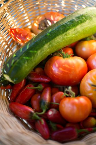 Yakima County Master Gardeners: Improve your home garden output by ...