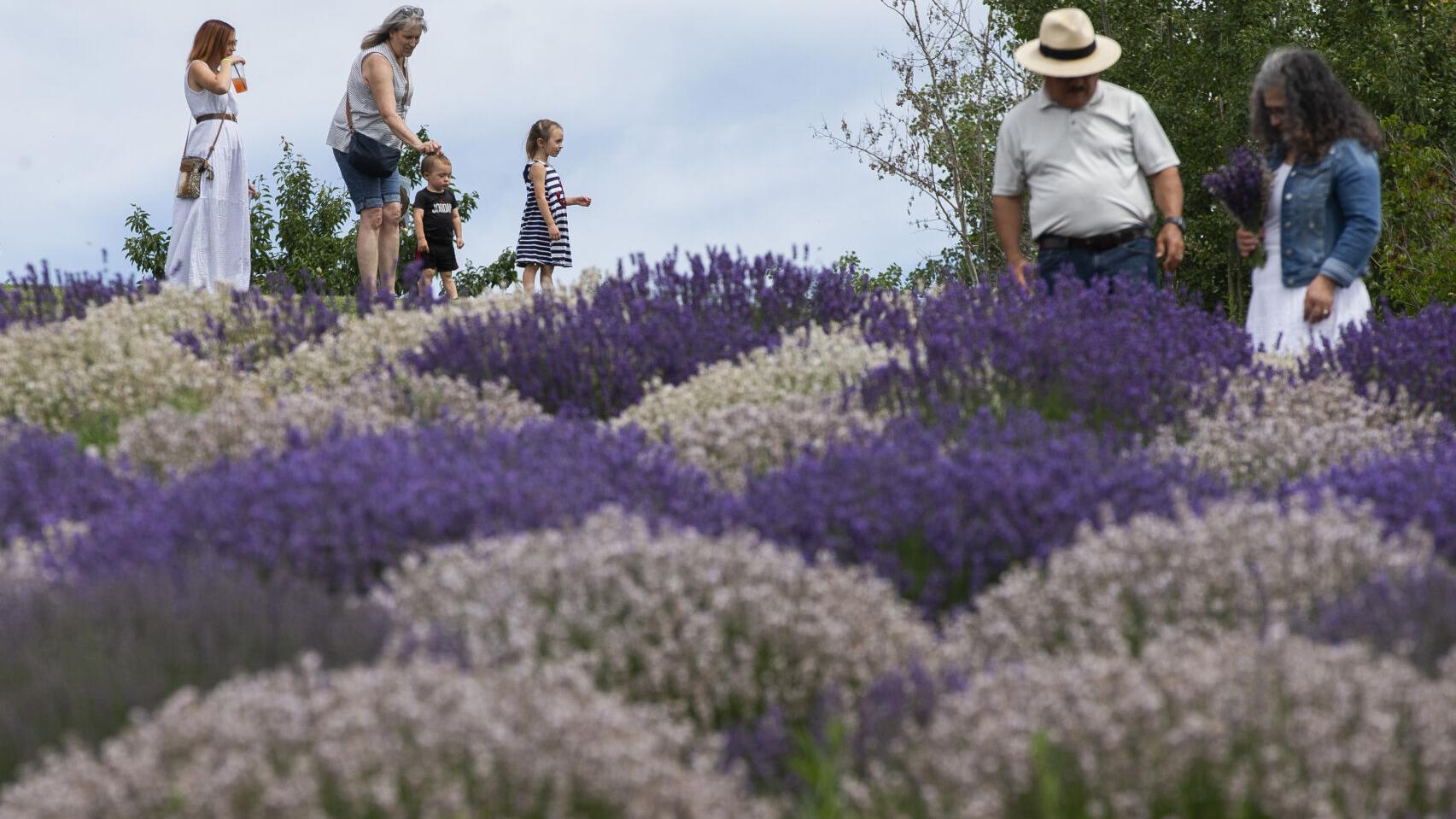 Explore Yakima | yakimaherald.com