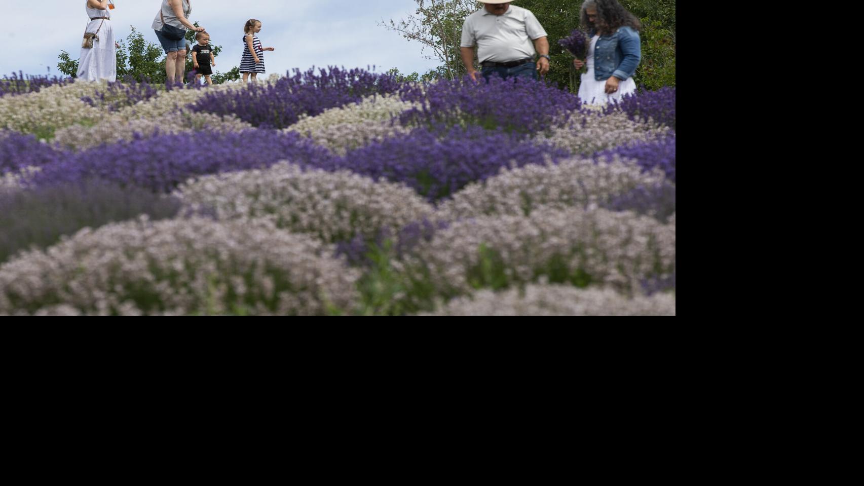 Explore Yakima | yakimaherald.com
