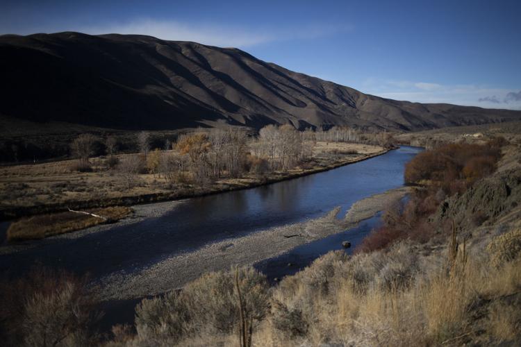 Photos: Fall foliage in Yakima County | Photos and Videos ...