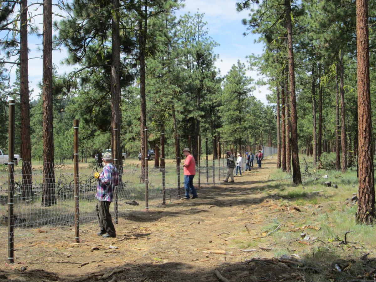 Celebration to commemorate reopening of Barbecue Flats | Outdoors and ...