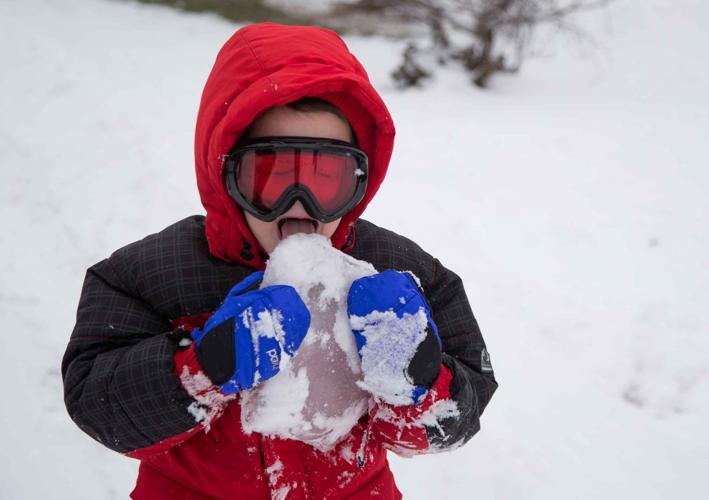 Photos: Snow falls in Yakima | News Photos | yakimaherald.com