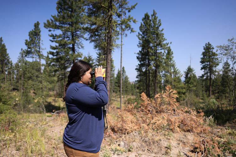 Forest field trip highlights benefits of high school summer outdoors program | Outdoors and ...