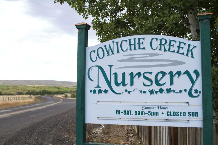 Cowiche Creek Nursery: A Flourishing Family Affair | Outdoors ...
