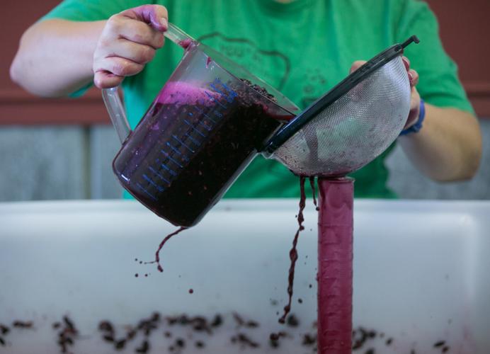 Checking In: Kerry Shiels, Côte Bonneville | Business | yakimaherald.com