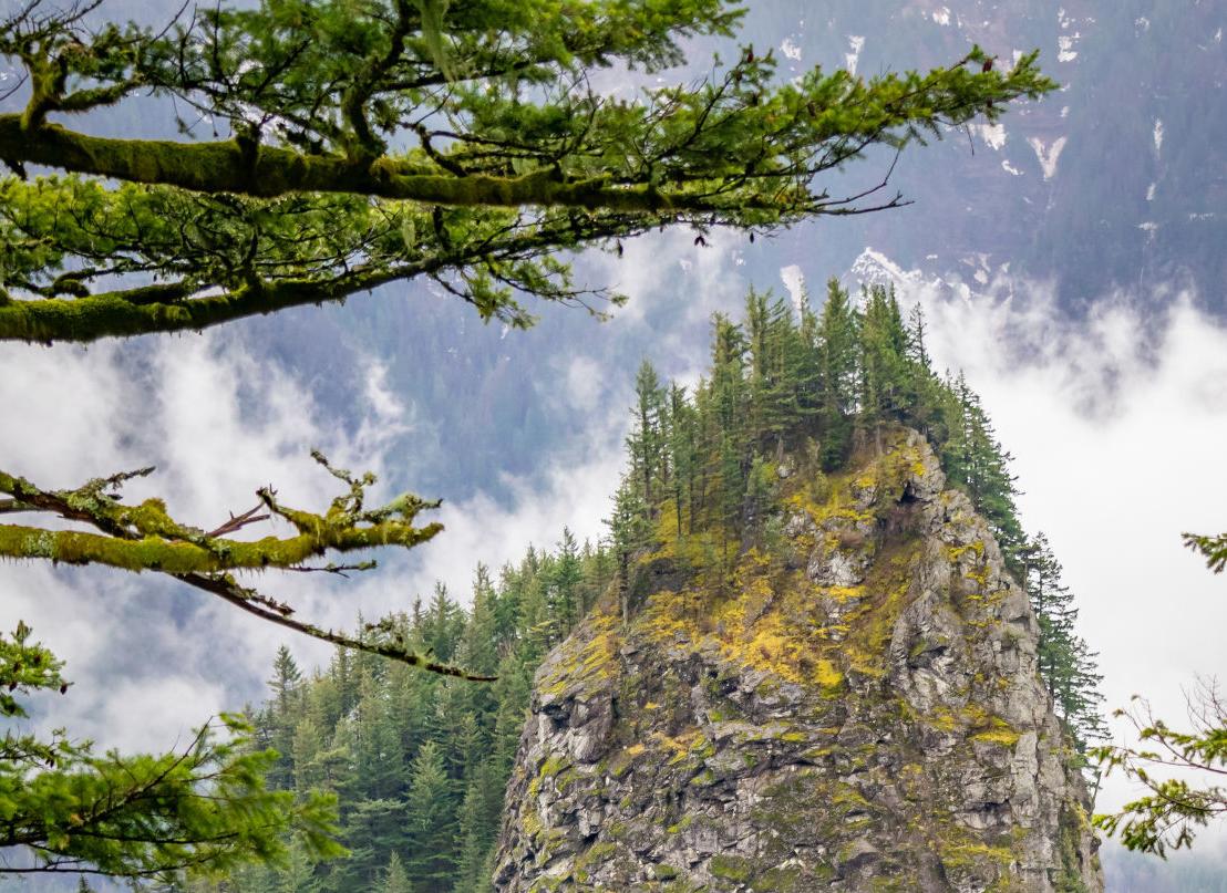Beacon Rock: Conquer a Chunk of Northwest History | Outdoors ...