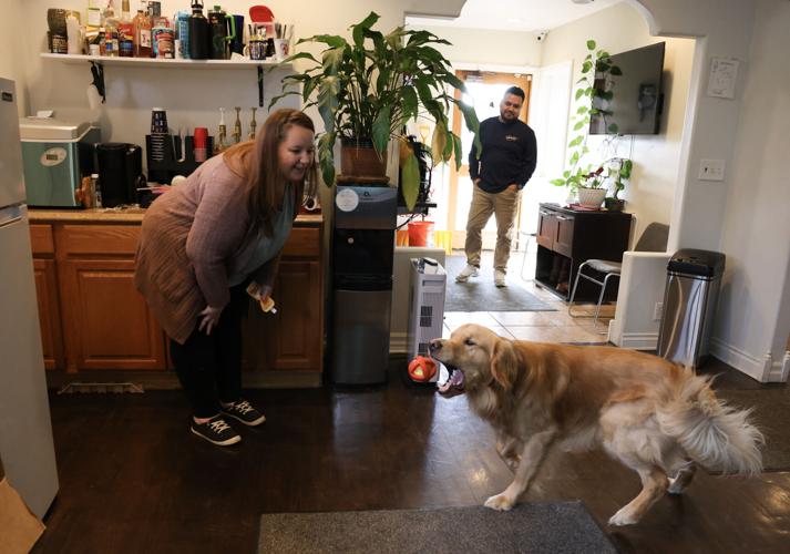 microsoft dog policy