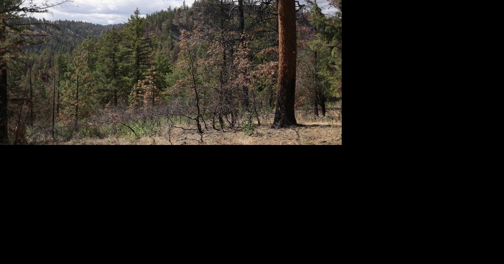 Rimrock community members thankful for support following Retreat Fire ...