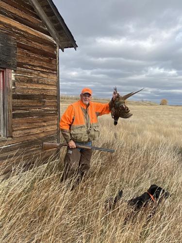 Rob Phillips: Montana pheasant hunting trip a chance for trusty hunting ...