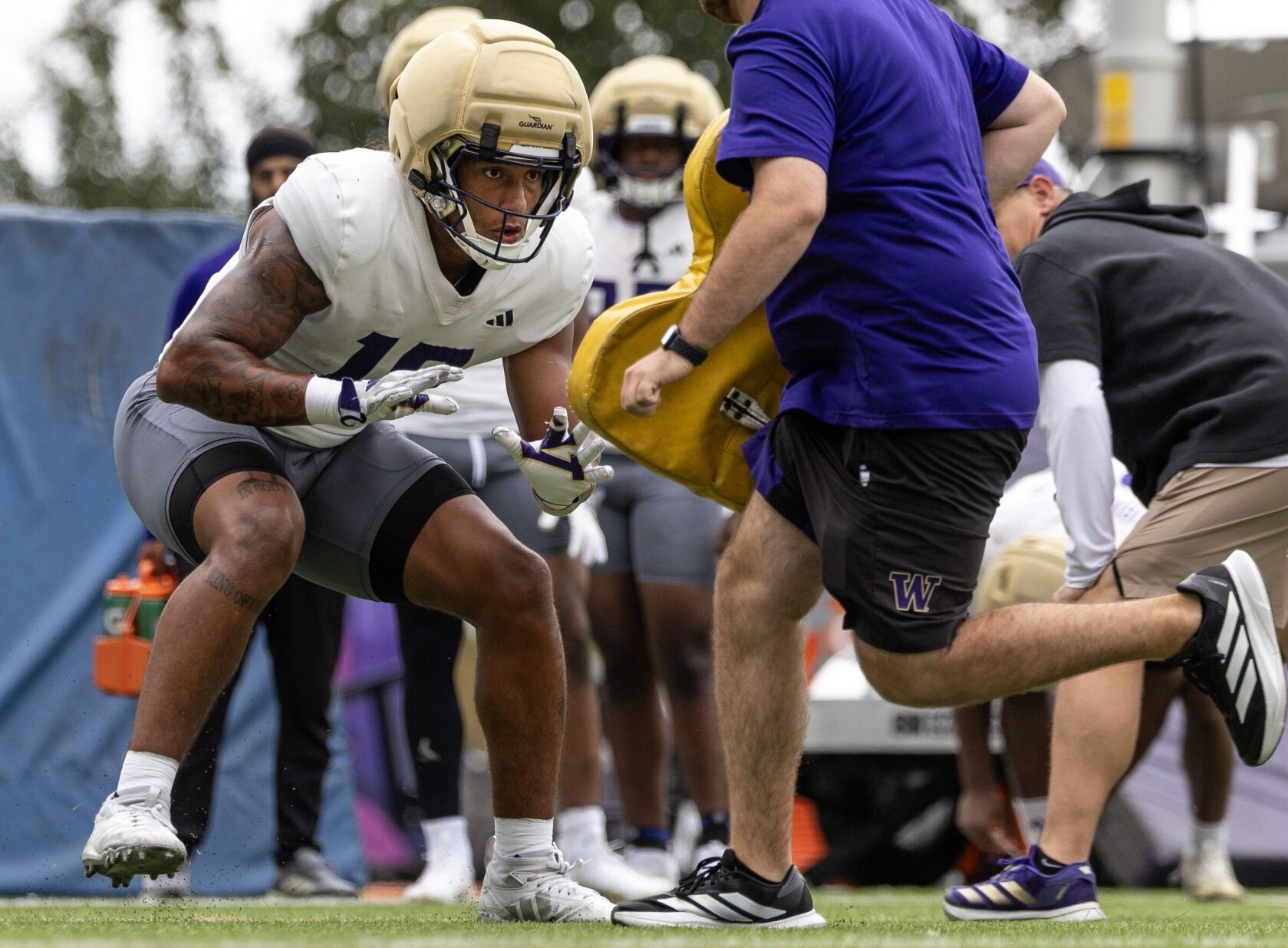 Xe’ree Alexander’s emergence comes at perfect time for Washington Huskies | UW Sports ...