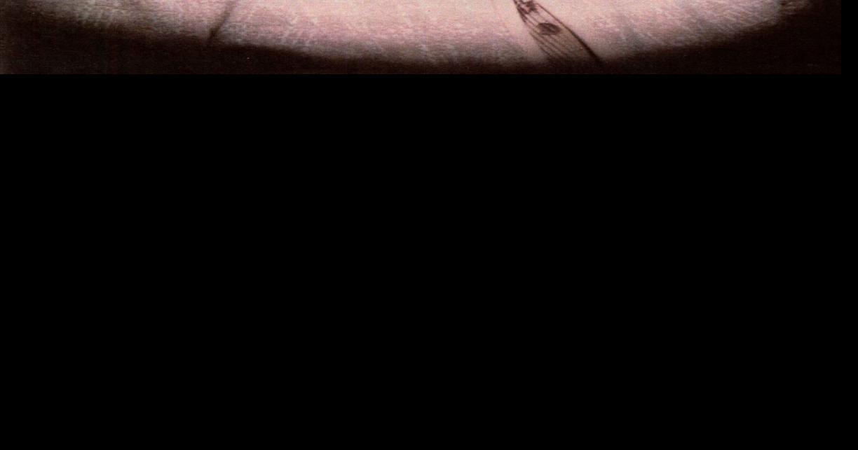 Anne Ahern | Test | yakimaherald.com