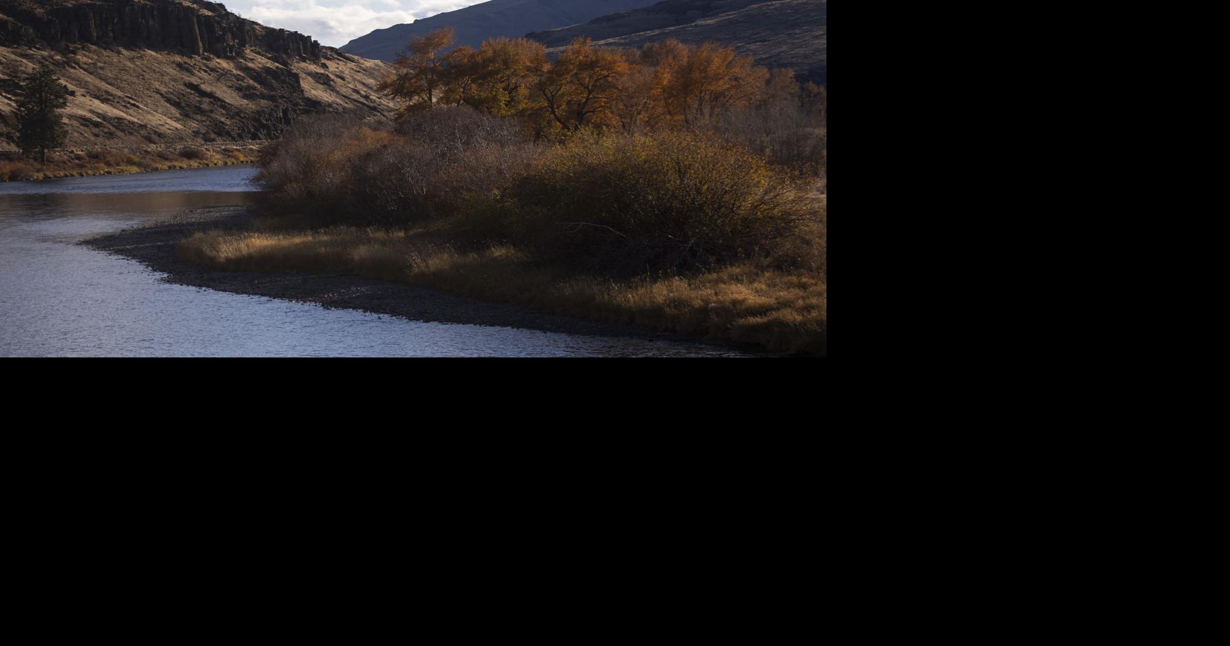 Photos: Fall foliage in Yakima County | Photos and Videos ...