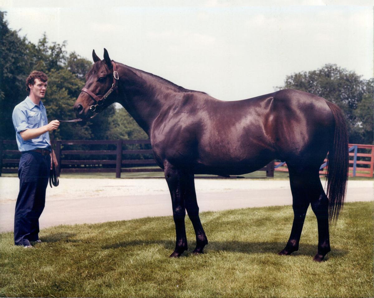 It Happened Here: White Swan couple buy Triple Crown winner Seattle ...