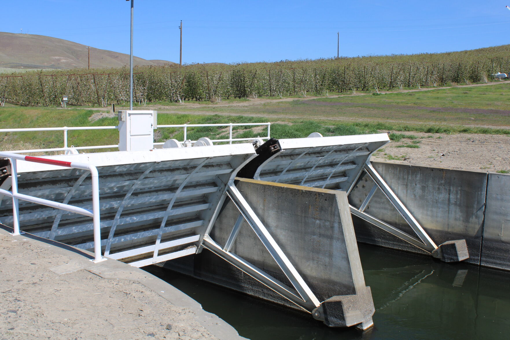 What a fourth year of drought means for Yakima Basin farms, fish and ...