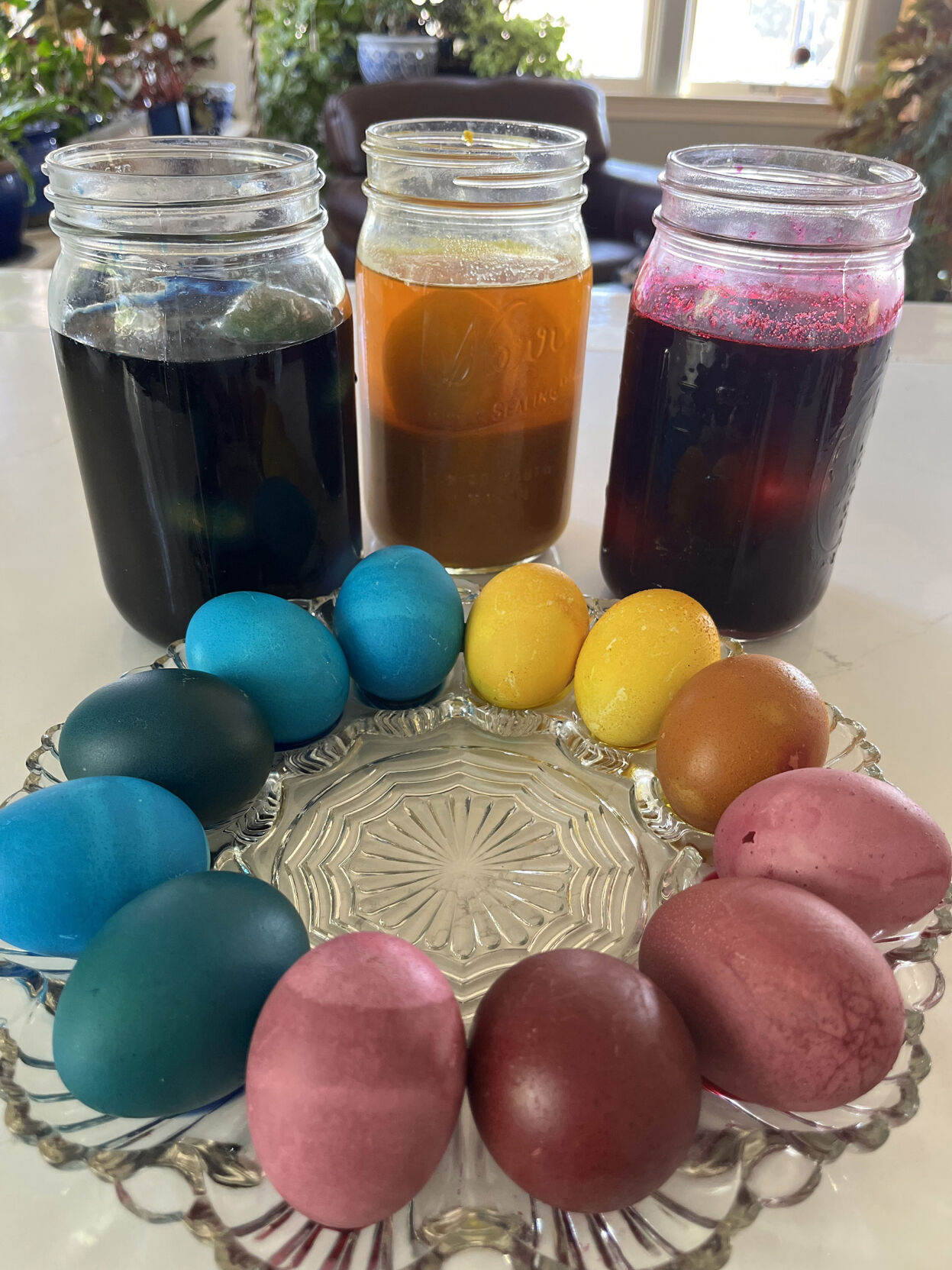 Carol Barany In the Garden: This year, try using natural dyes for ...