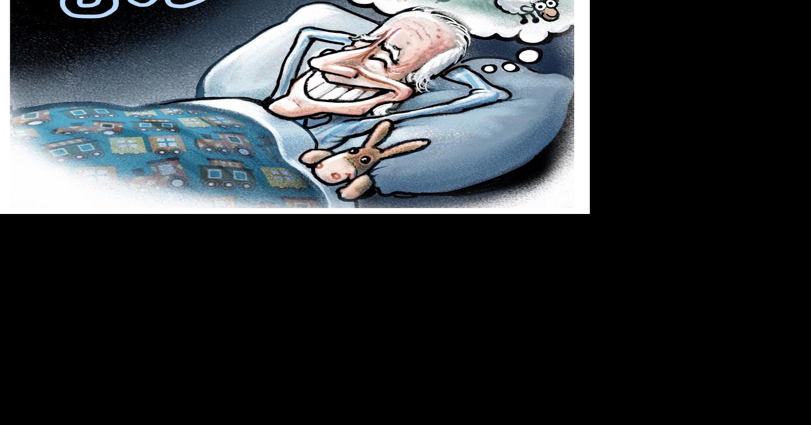 Editorial cartoon: Steve Sack (Nov. 7, 2020) | Cartoons | yakimaherald.com
