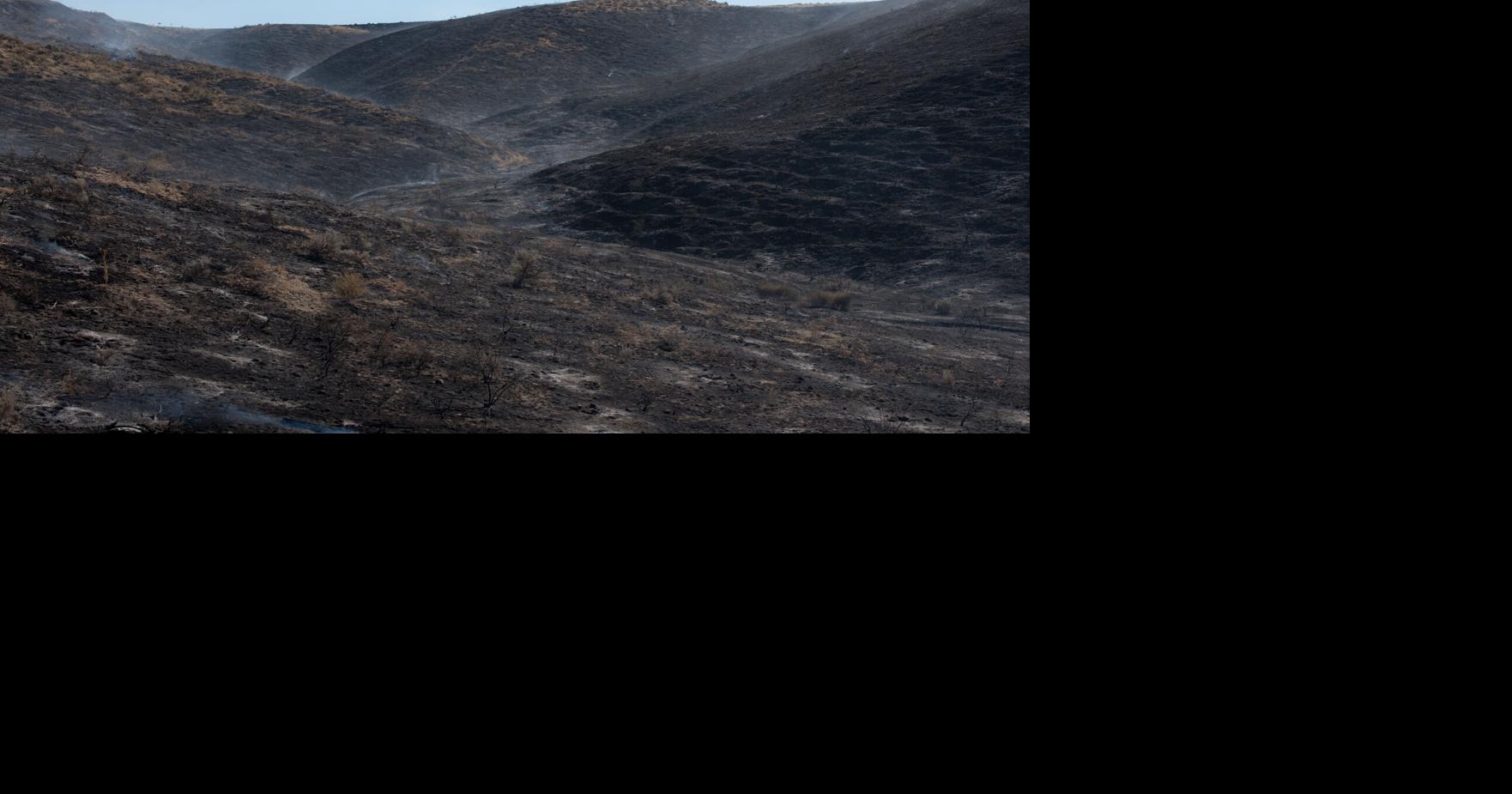 Updated: Firefighters respond to wildfires near Naches, as officials ...
