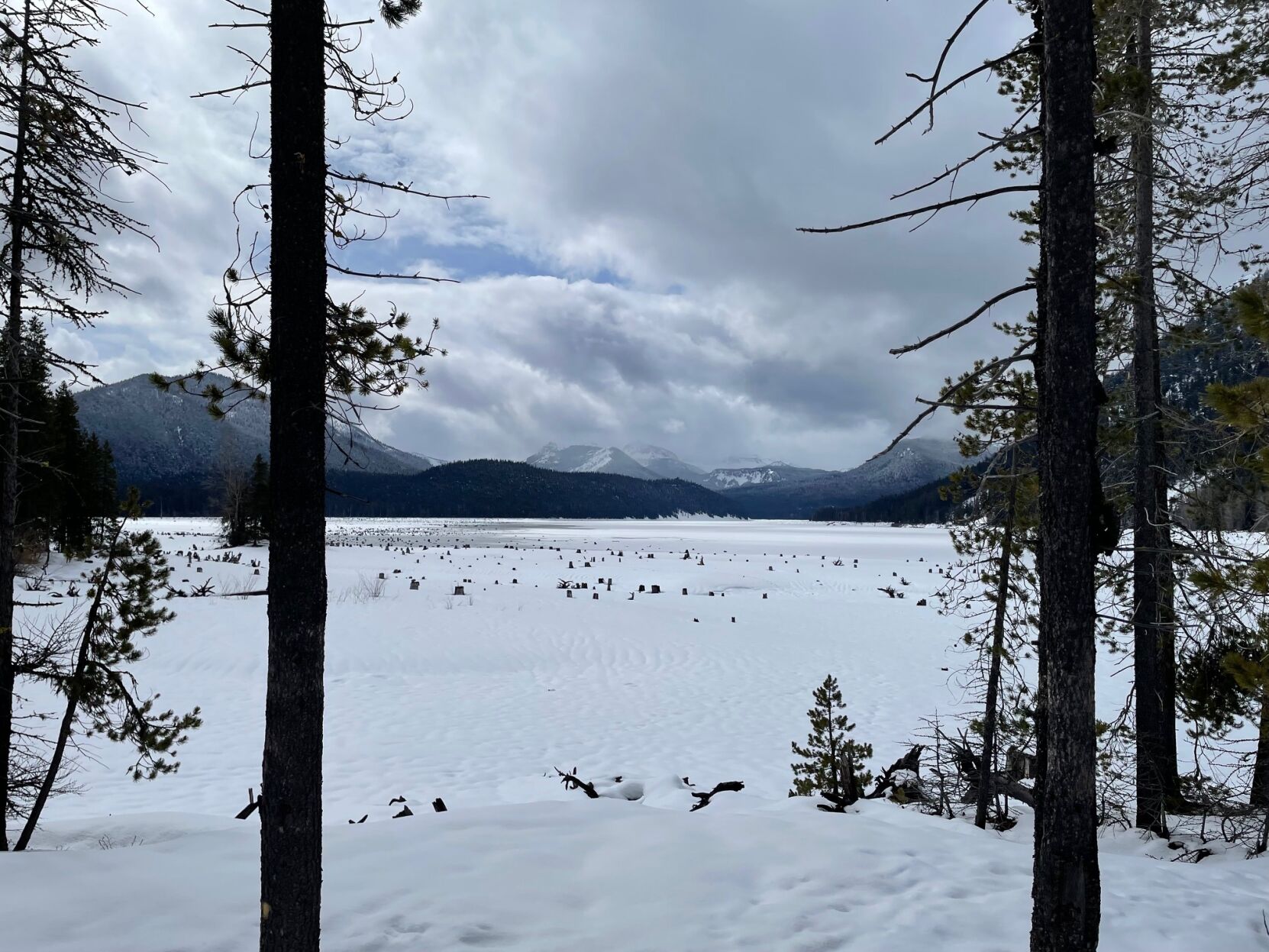 Yakima Basin water forecast drops to 43% for junior rights holders ...