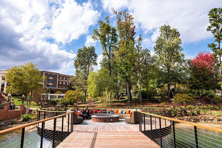 HPU Named Tree Campus Higher Education for 13th Consecutive Year ...