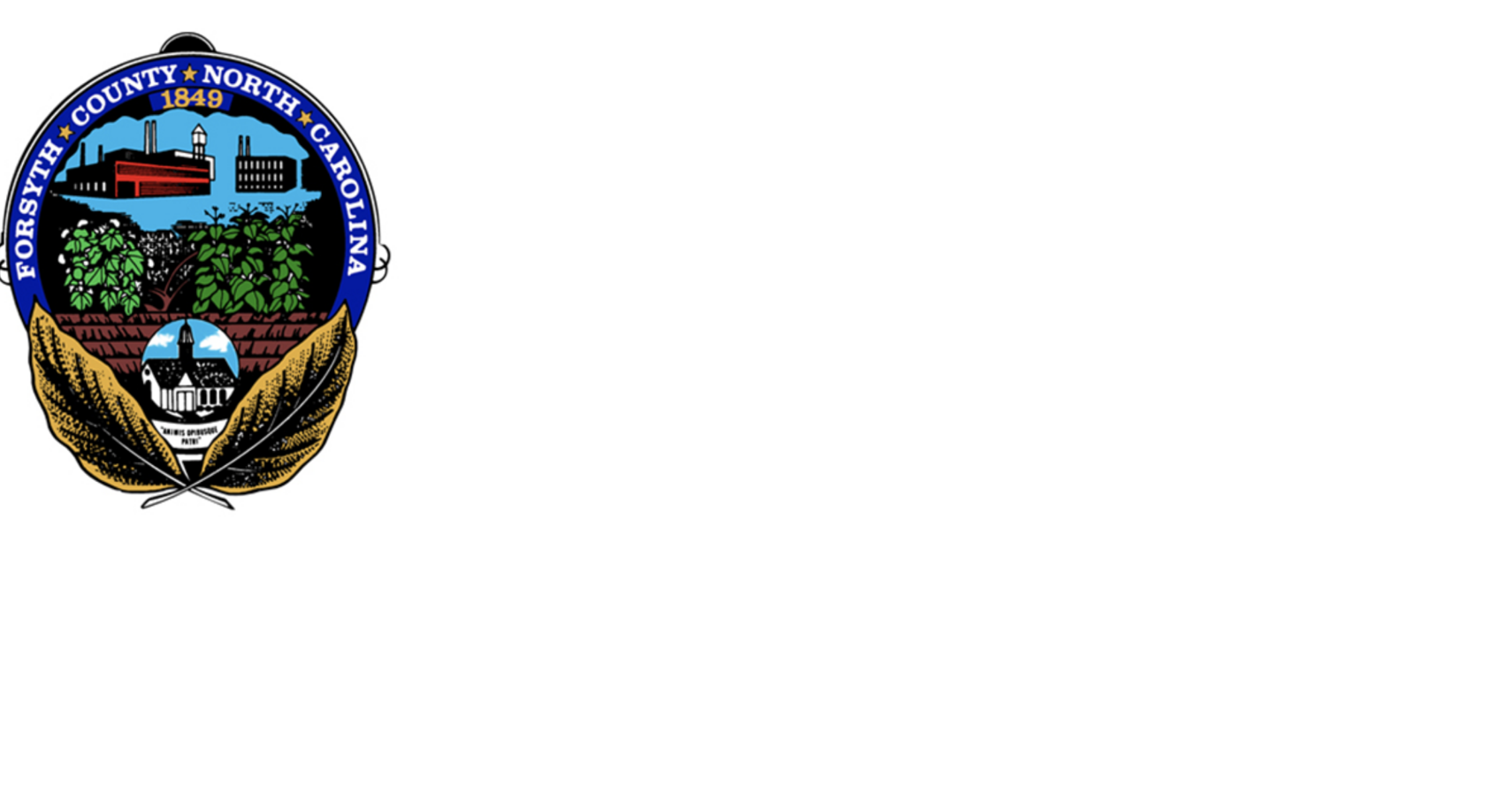 Shontell Robinson will be the new Forsyth County manager | News ...