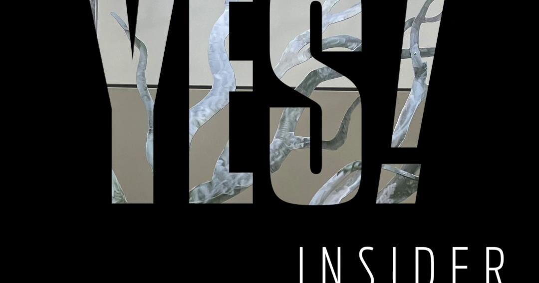 YES! Insider - 7.19.23 | YES!TV | yesweekly.com