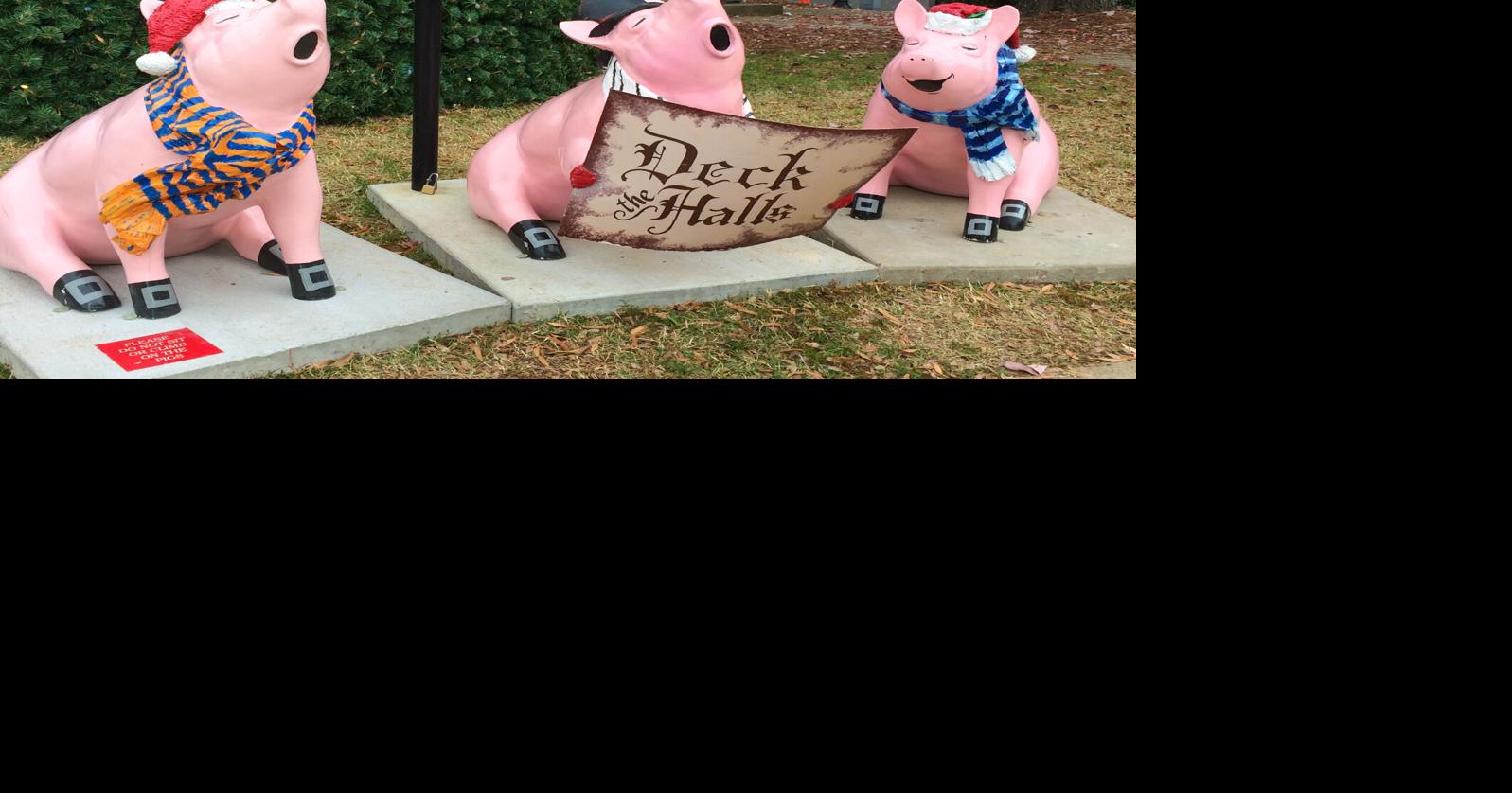 Iconic Pigs Come Home for the ‘Hogidays’ in Uptown Lexington | News ...