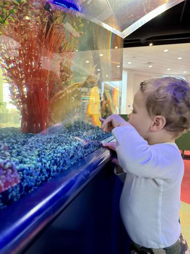 Nido & Mariana Qubein Children's Museum | 1.21.23 | High Point | Photo ...