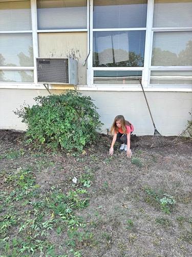 JES roots for the future with Campus Beautification event | Jamestown ...