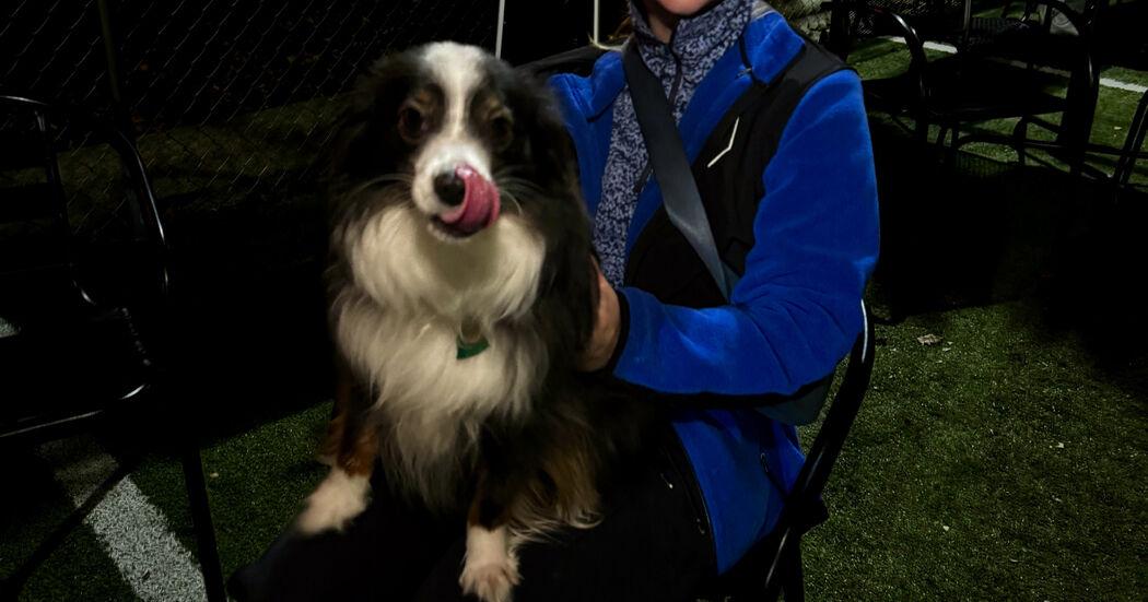 The Good Watts at Doggos Dog Park & Pub | 11.15.25 | Greensboro | Photo ...