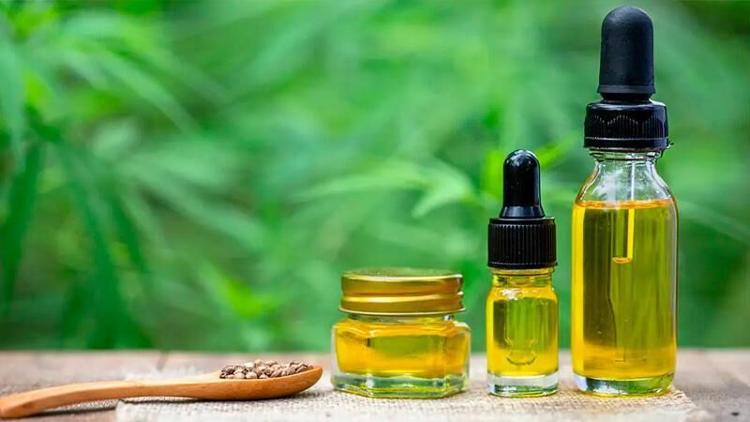 THC Oil: 10 Best Brands Reviewed | Cannabis | yesweekly.com