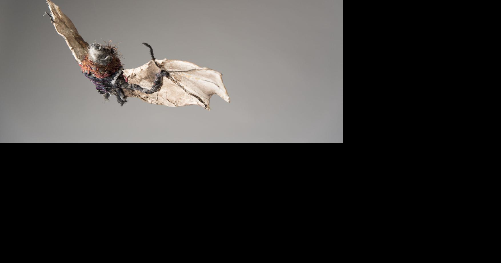 Sawtooth presents two-person show of sculptural forms that reference ...