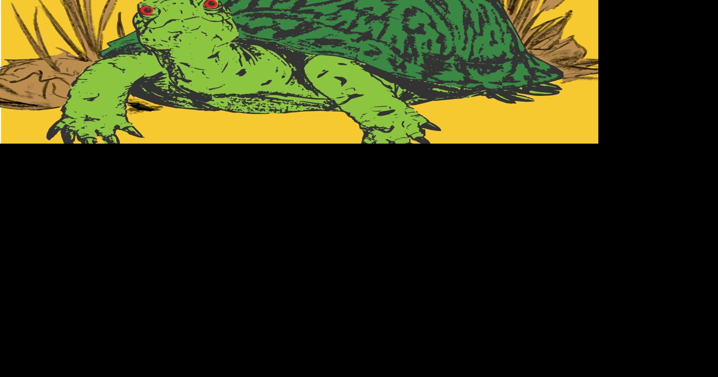 42nd Annual EnoFest Returns to Durham July 4th Weekend | Music ...