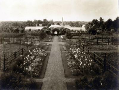 Reynolda Announces the Brown Family Greenhouse and Reynolda Welcome ...