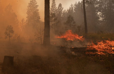As the destructive Chuweah Fire near Nespelem calms down, another fire ...