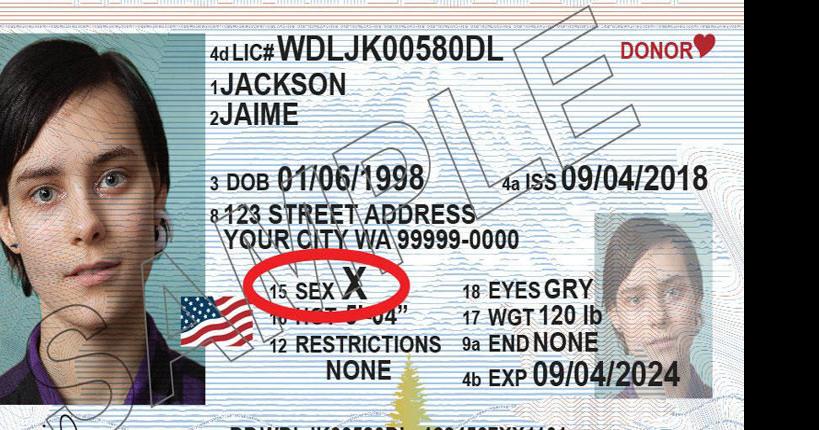 Washington State Drivers Given ‘x Gender Option On Licenses Regional