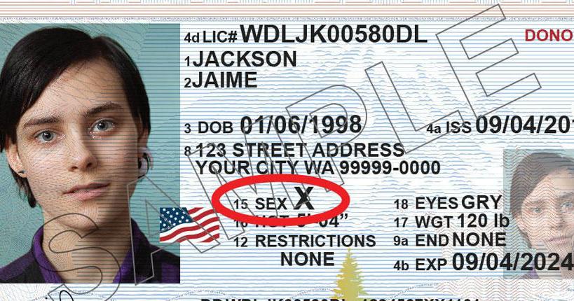 Washington State Drivers Given ‘x Gender Option On Licenses Regional