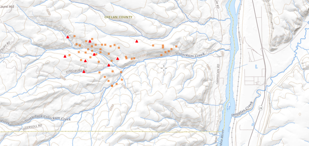 Close to 300 personnel on scene of Colockum Fire near Malaga | iFIBER ...