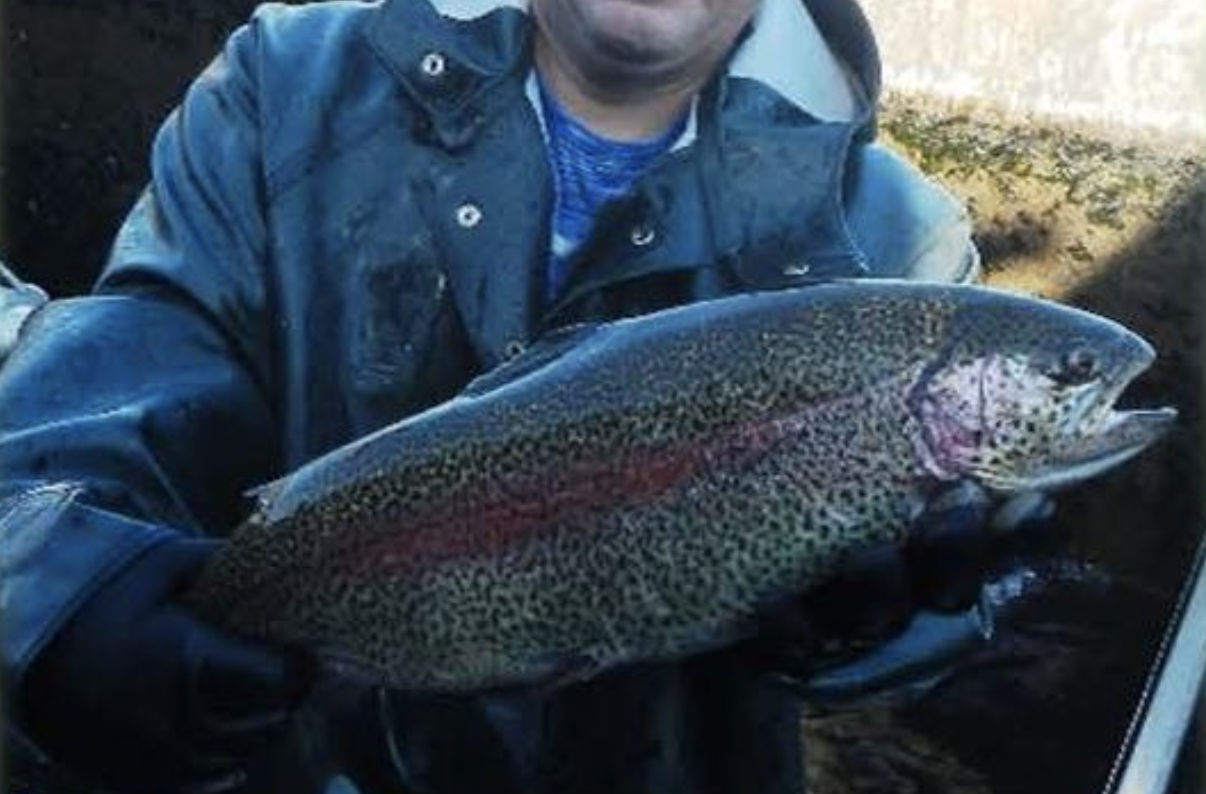 Tribes stock Rufus Woods Lake with 1,670 rainbow trout | Columbia Basin ...