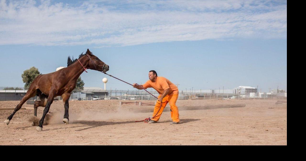 Bill passed by state House suggests Connell inmates can be 'tamed ...