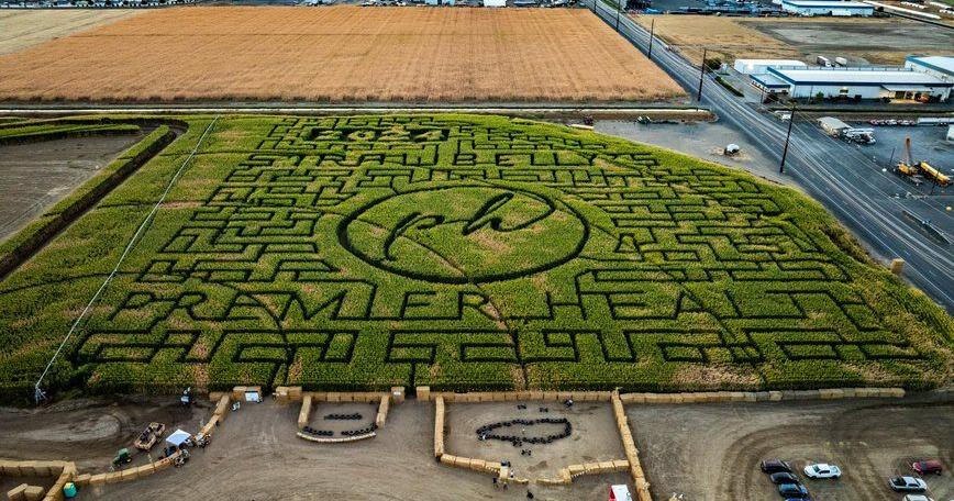 StrawBelly's Farm Festival opening in Moses Lake | Columbia Basin ...