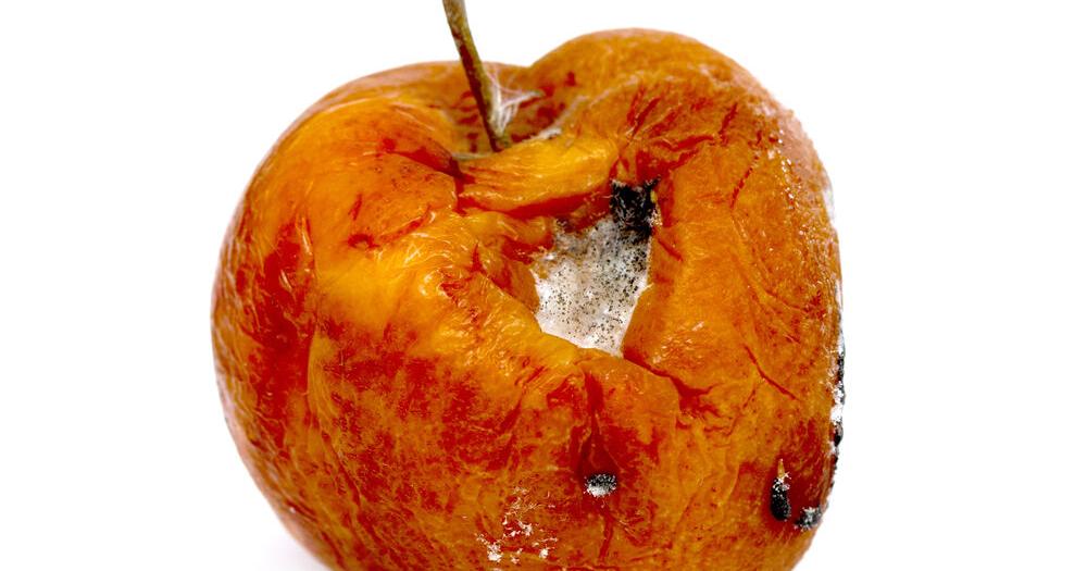 Economic Troubles Threaten Washington's Apple Orchards | Columbia Basin ...