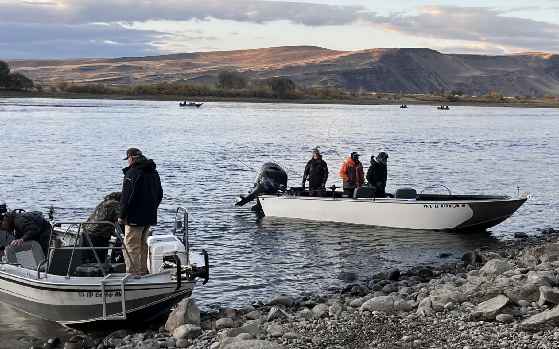 Annual Salmon Broodstock Event Returns to Vernita Bridge | Columbia ...