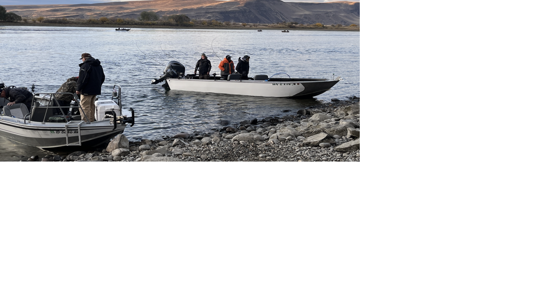 Annual Salmon Broodstock Event Returns to Vernita Bridge | Columbia ...