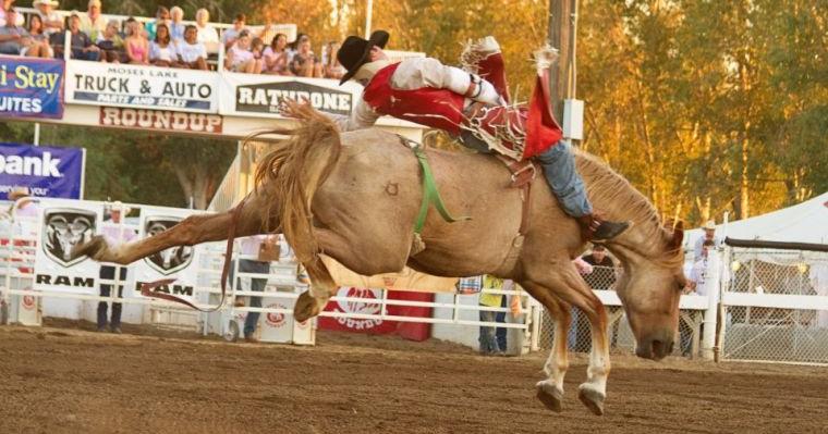 One ticket good for the Moses Lake Roundup rodeo, Grant County Fair ...