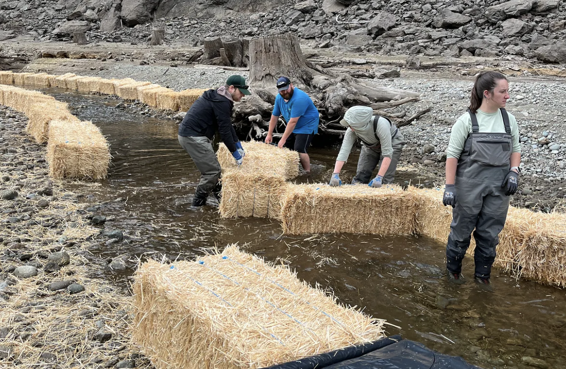 700-Foot Flume Built to Save Bull Trout in Drought in E. WA | Columbia ...