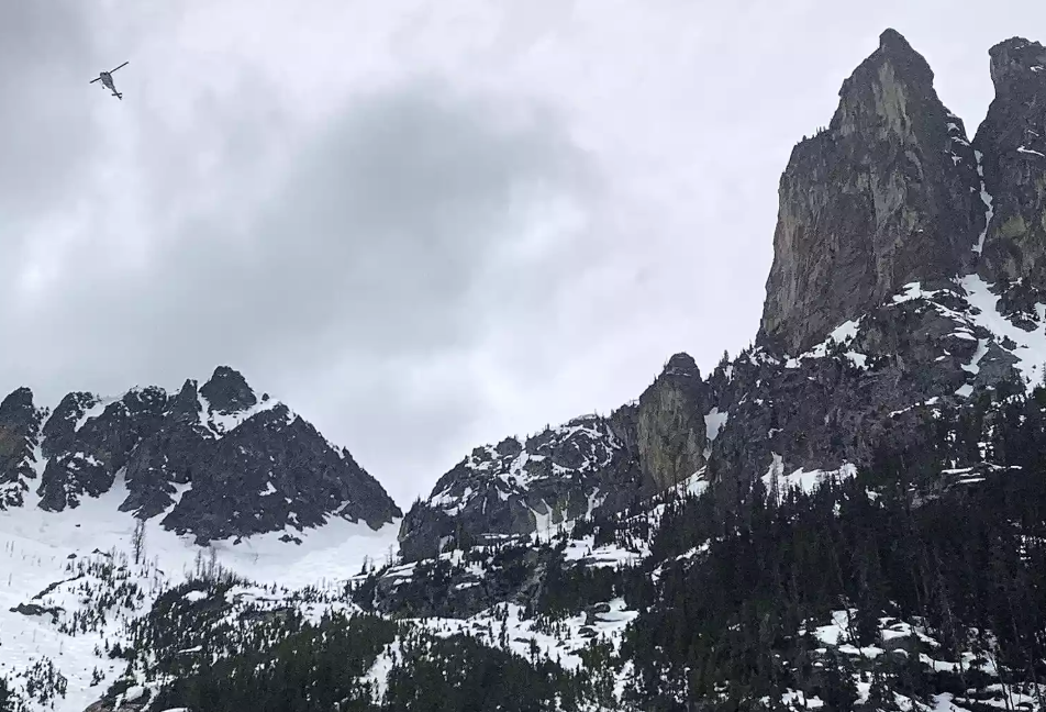 Survivor of 400-ft fall was out cold before seeking help | Columbia ...