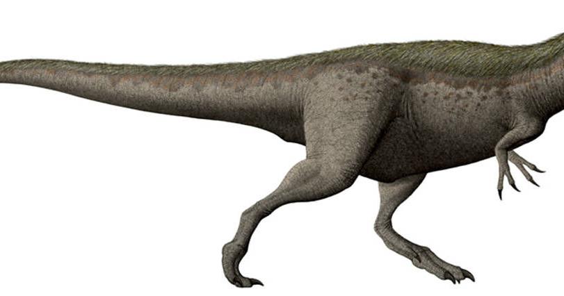 Suciasaurus rex named Washington state's official dinosaur | Columbia ...
