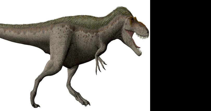 Suciasaurus rex named Washington state's official dinosaur | Columbia ...
